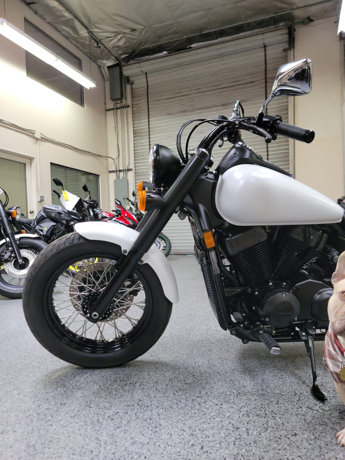 2019 Honda Shadow Phantom - AK MotorsAK Motors