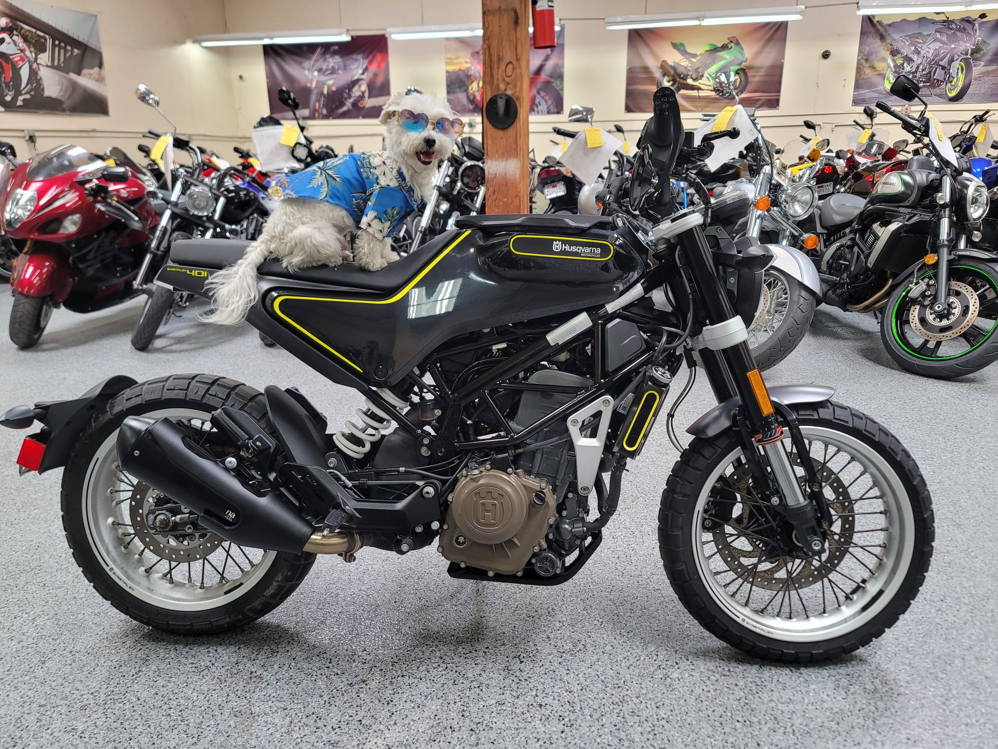 2019 Husqvarna 401 Svartpilen - AK MotorsAK Motors